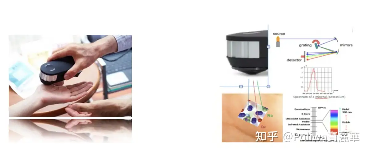 2024 Oligoscan, Spectrophotometry, & Top Trends-2024年Oligoscan分光光度法和热门趋势