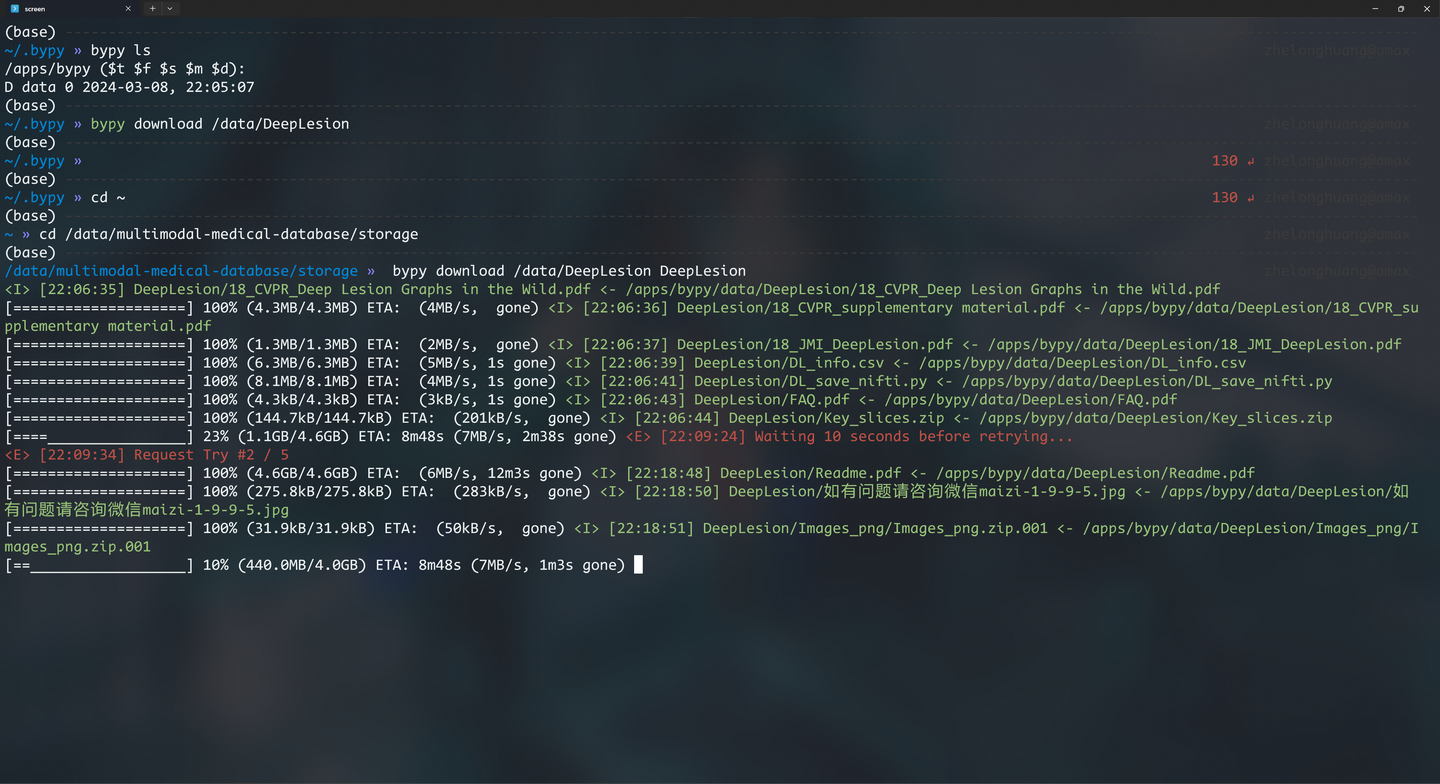 使用 bypy 在 Linux 服务器上下载百度网盘资源