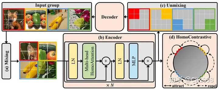 怎么改变MAE模型的mask方式？ - 知乎