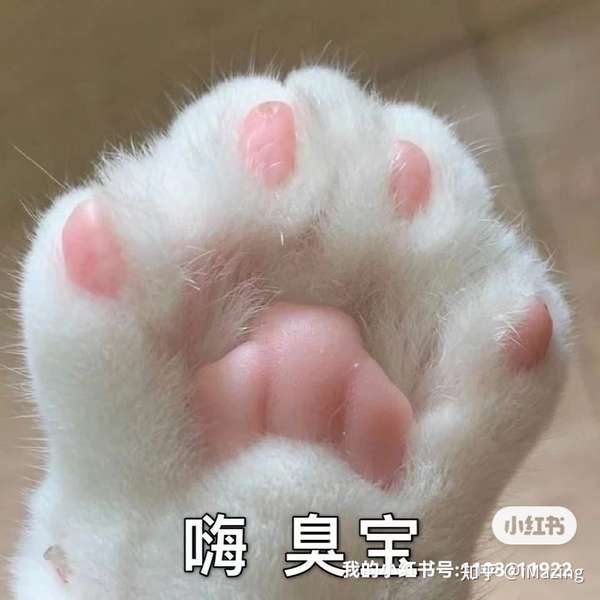 Imazing 知乎