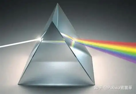 2024 Oligoscan, Spectrophotometry, & Top Trends-2024年Oligoscan分光光度法和热门趋势