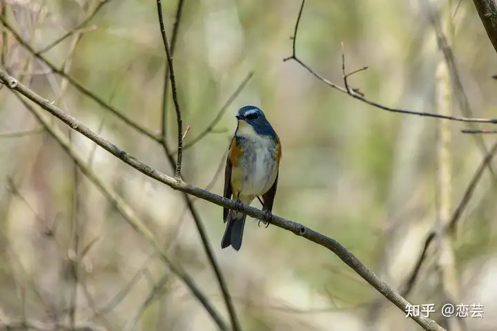 VScode里面出现“因exception已暂停”怎么解决？ - 知乎