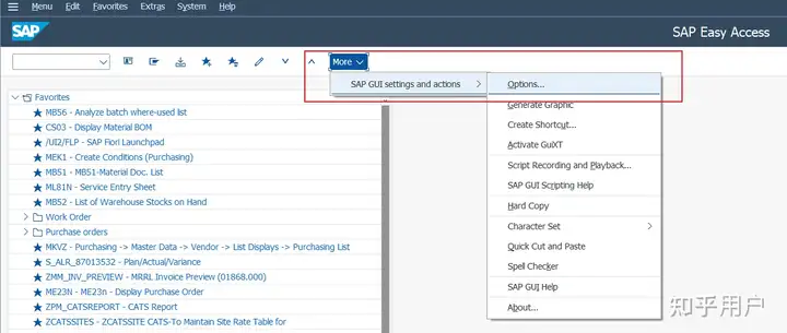 sap gui 750如何设置成740风格？ - 知乎