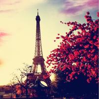 Inspect Simulation Data 检查模拟数据 - 知乎