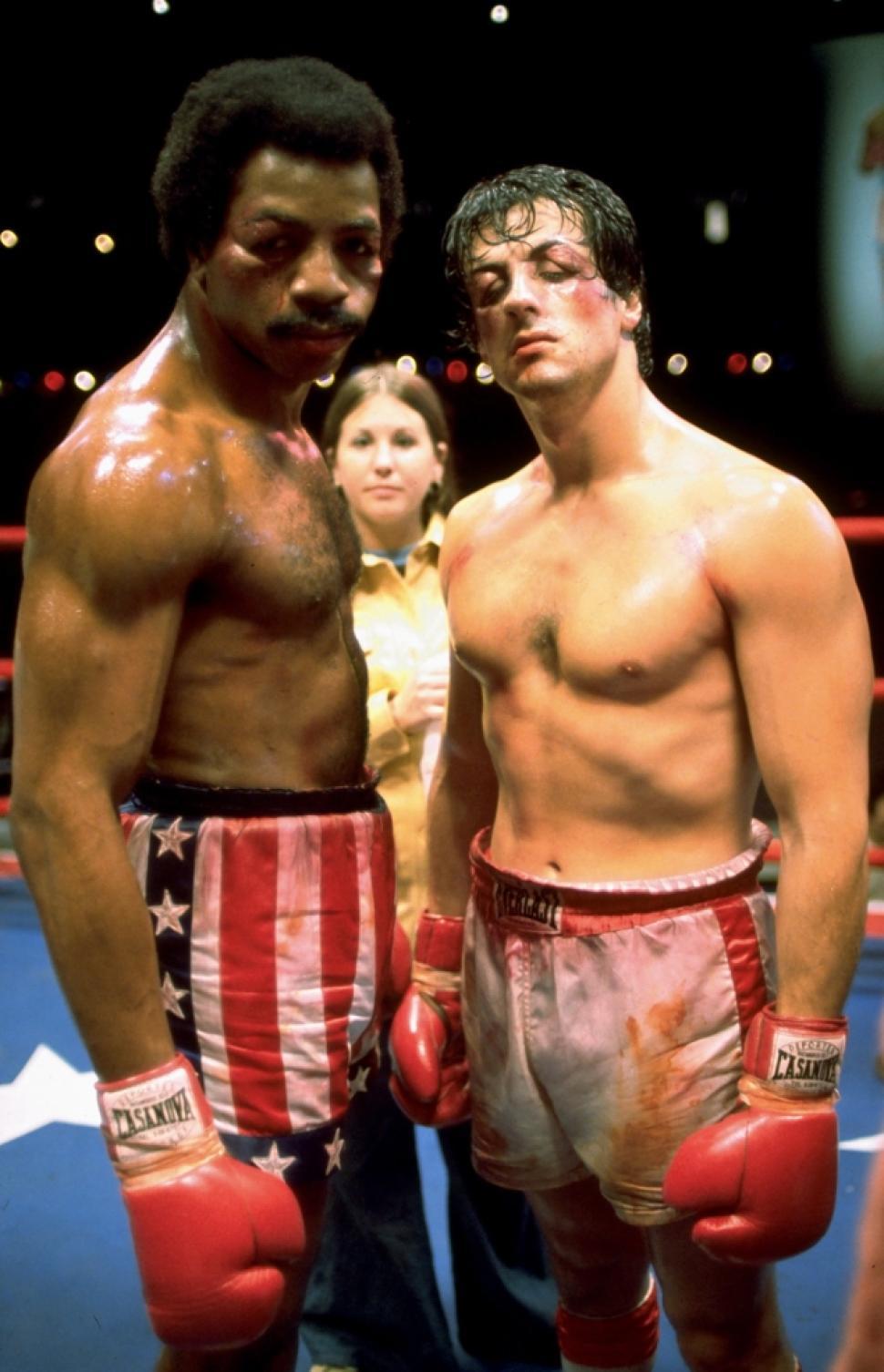 The Italian Stallion - 知乎