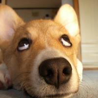 UGC，PGC，PUGC，OGC，MGC，BGC，AGC，GGC，MCNGC，最全内容创作者解读 - 知乎