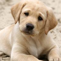 ABAQUS 子程序UMAT-Drucker-Prager Model-2 - 知乎