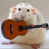 活体动物体内成像系统使用方法(以 IVIS 100系统为例) - 知乎