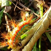 ARM部署python - 知乎