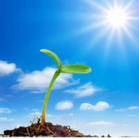 pycharm: unused import statement错误解决方法 - 知乎