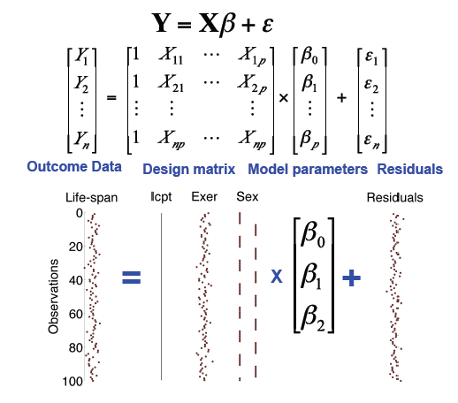 Module 15 General Linear Model - 知乎