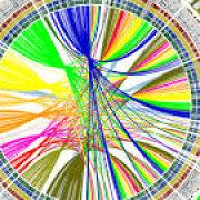 GWAS研究基本概念2——Fine mapping - 知乎