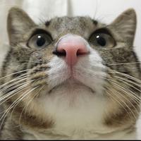 AMBA CXS Protocol Specification - 知乎