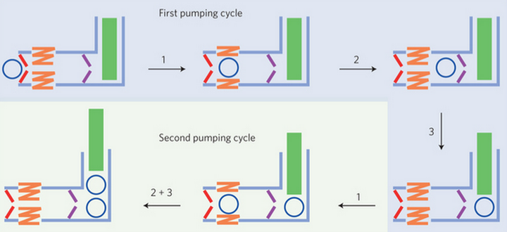 An Artificial Molecular Pump - 知乎