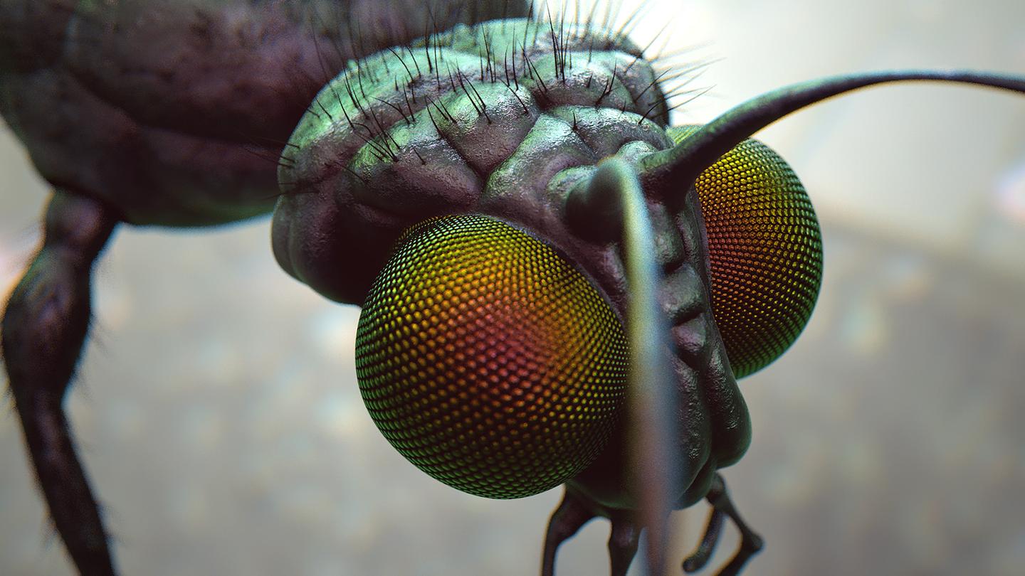 我们（IHDT映速）在C4D新版R18内容库创建中的工作介绍与作品解析 - 知乎