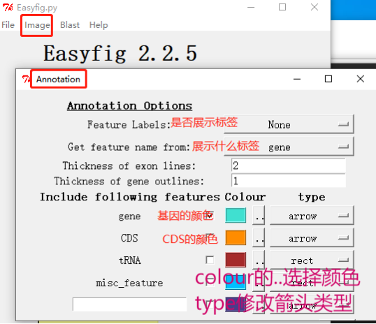 Easyfig怎么使用? - 知乎