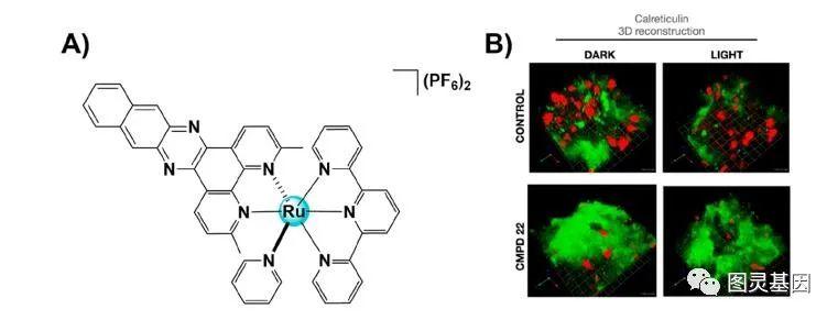 Che Rev | 调节性细胞死亡机制的诱导剂 - 知乎