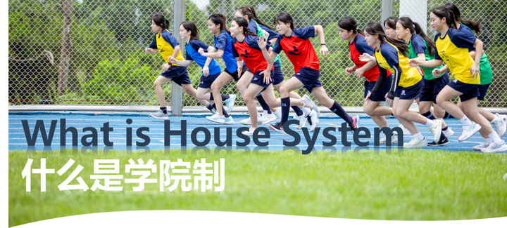 About House System in ISA | 爱莎学院制知多少 - 知乎