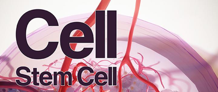Cell Stem Cell | 4D蛋白组联合单细胞测序构建伤口再生分子图谱 - 知乎