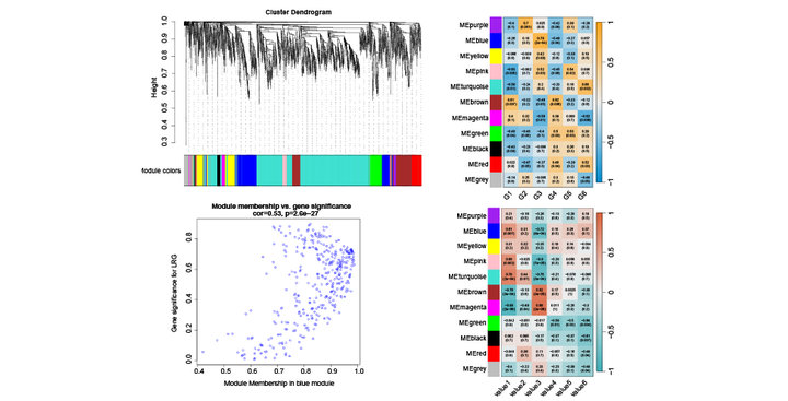 WGCNA实例分析 - 知乎