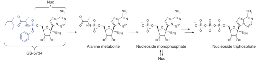 ProTide：前药技术该何去何从？ - 知乎