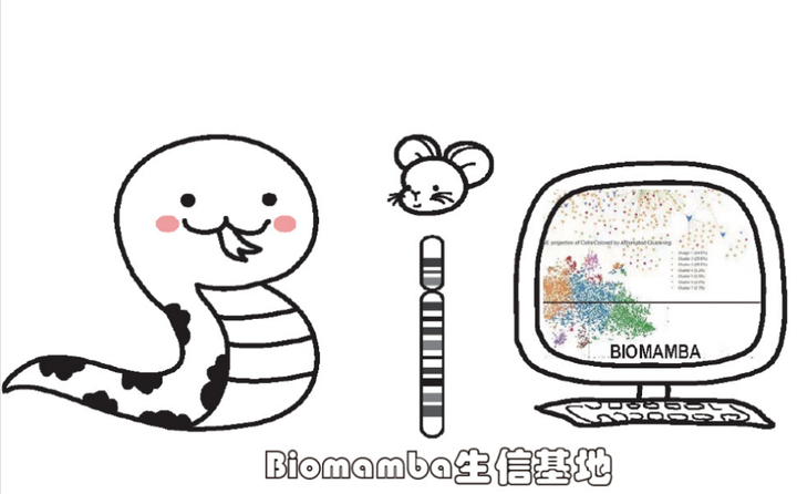 一文了解2024《Nature Method》年度研究方法：空间蛋白质组学 - 知乎