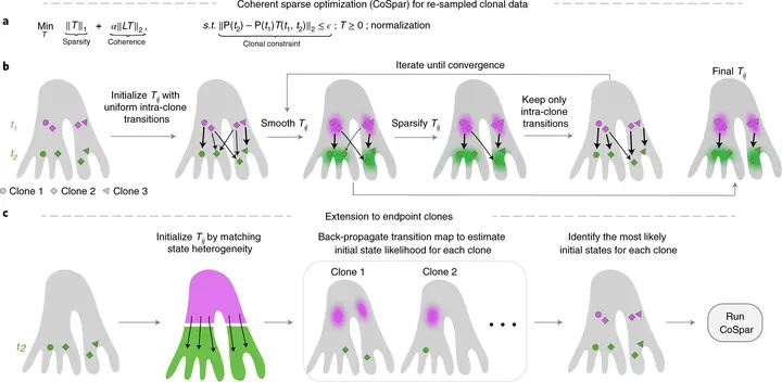 CoSpar identifies early cell fate biases from single-cell ...