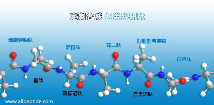 多肽914910-73-9：血管紧张素Angiotensin(1-12)(mouse, rat) - 知乎