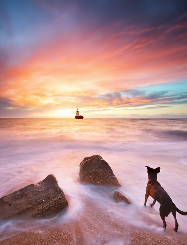 如何将 Adob e Firefly 与 Photoshop 结合使用 - 知乎