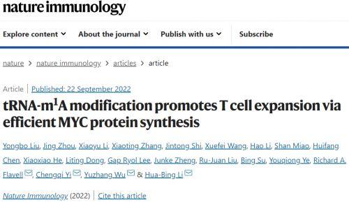 Nature Immunology | 揭示tRNA m1A修饰促进T细胞扩增的机制 - 知乎