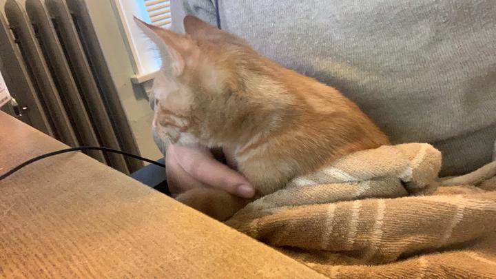 MATLAB Arrayfun的妙用 - 知乎