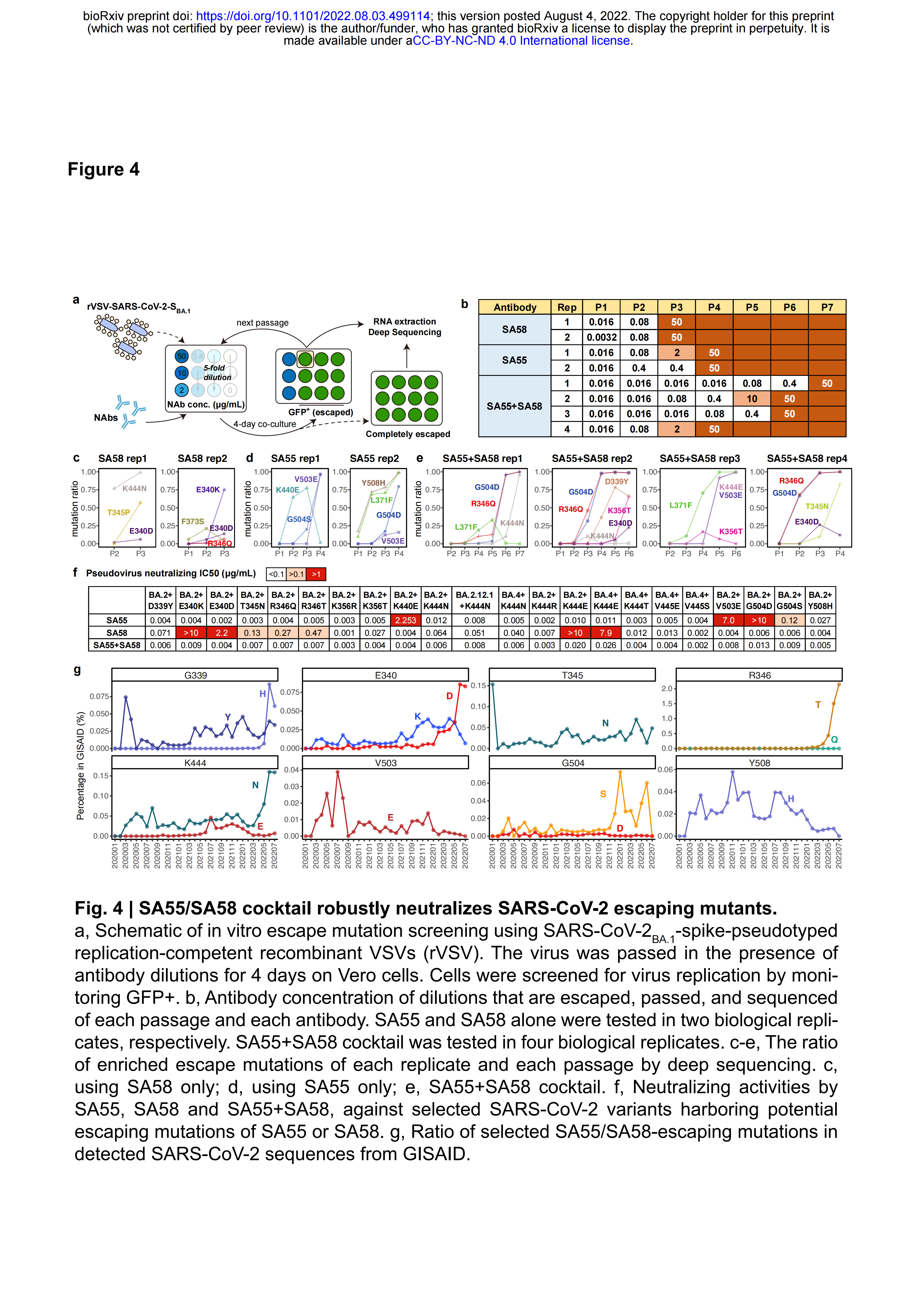如何评价新冠病毒单克隆中和抗体SA55/SA58? - 知乎