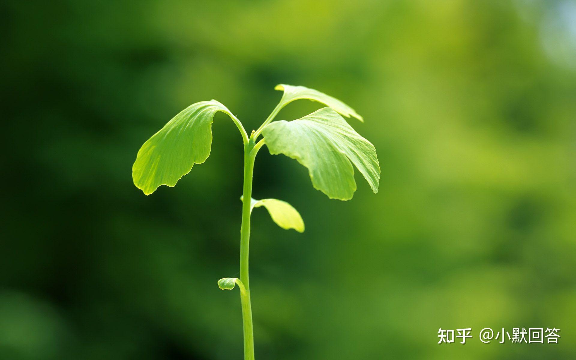 吃什么能让皮肤变好？食补真的可以让熬夜脸消失吗？ 知乎
