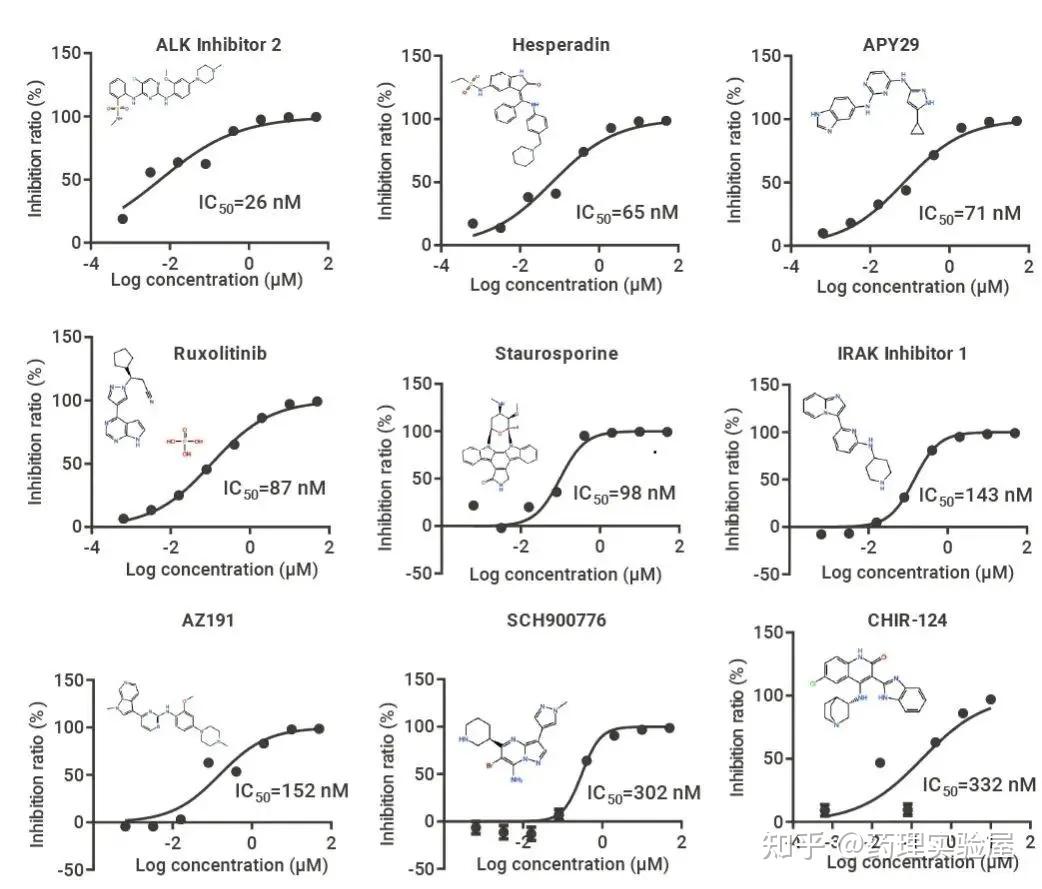 蛋白激酶的IC50检测及Graphpad作图 - 知乎