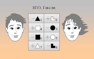 Socionics类型的功能详细描述 IEE by Stratiyevskaya - 知乎