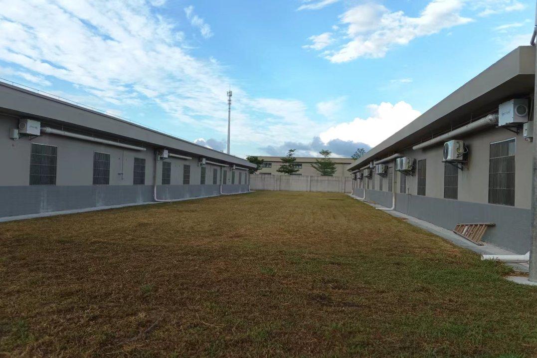 NHP ePPND试验的挑战及应对策略 - 知乎