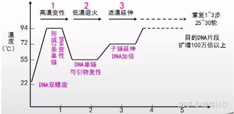 基因扩增仪的原理|分类|应用|注意事项/维护保养/故障分析 - 知乎