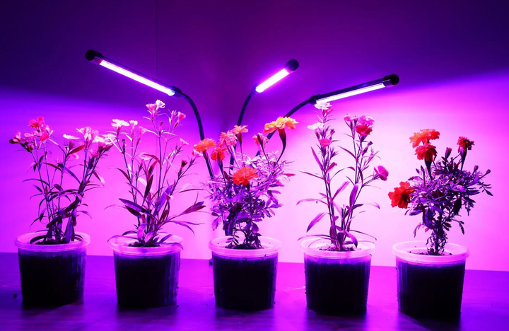 亚马逊站植物生长灯申请UL8800认证办理必看 - 知乎