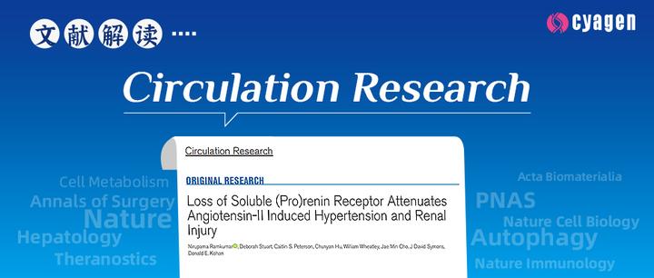 国外学者发现sPRR可能通过RAA系统非依赖性信号来调节血压 - 知乎