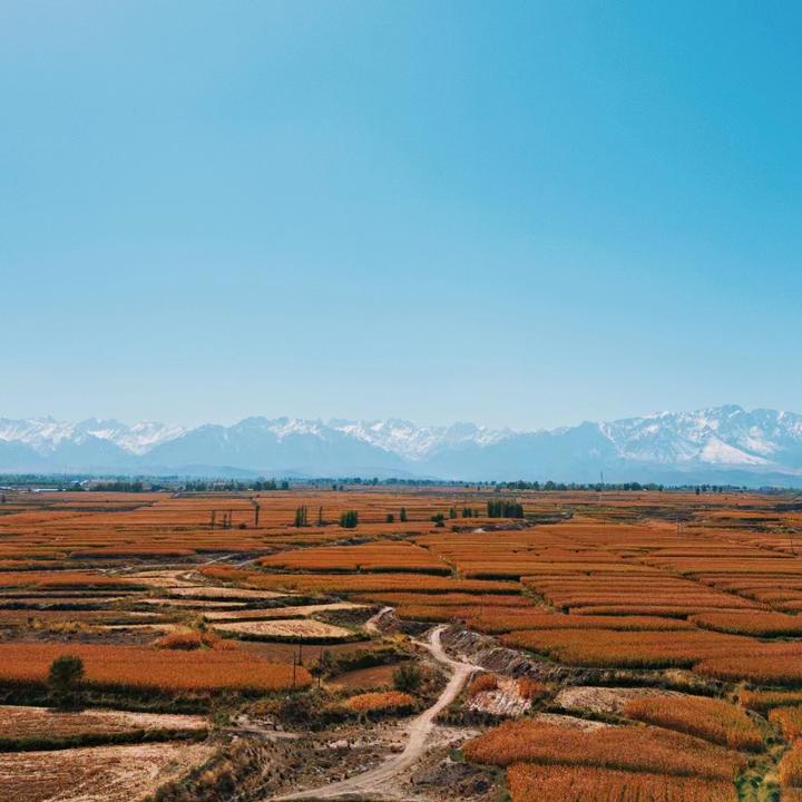 在 Rhino 8 中安装 Ladybug Tools 的暂用办法 - 知乎