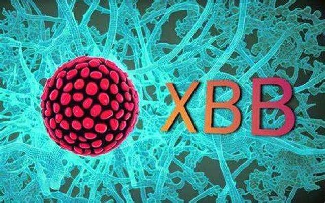 本土已发现16例？三省都已经出现？关于XBB.1.5需要了解哪些事情？ - 知乎