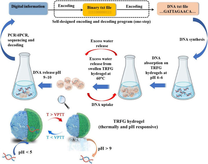 传统存储难突破，DNA存储路何方？TRFG水凝胶能行吗？ - 知乎