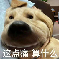 经典日剧《悠长假期》--木村拓哉的成名之路 - 知乎