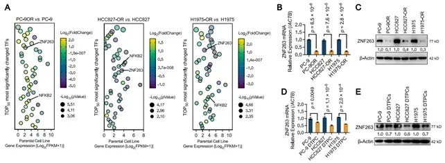 MobiNova®-100又发力，提供肺腺癌EGRF治疗新策略 - 知乎