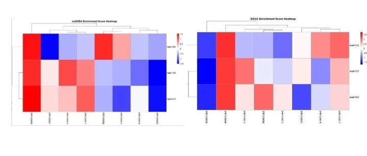 转录组学05｜三类富集方法详解：GSEA、GSVA 与ssGSEA(下) - 知乎
