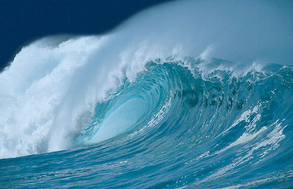 前沿！波浪能技术调研及全球发展现状深度研究！ - 知乎