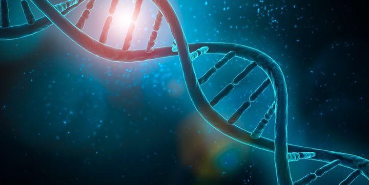 Nat. Methods | scBasset：基于DNA序列的单细胞ATAC-seq卷积神经网络建模 - 知乎