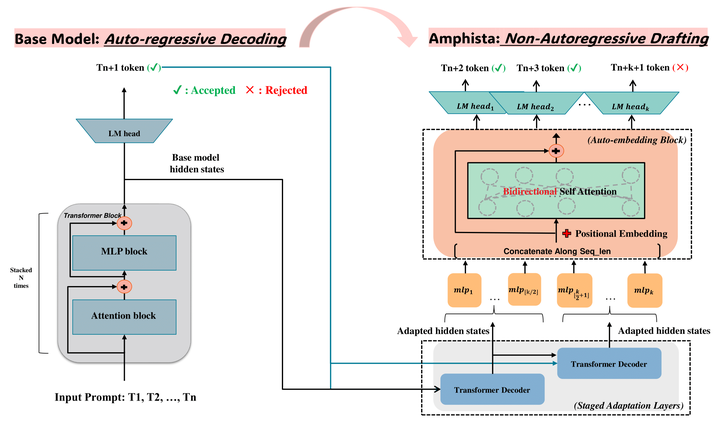 Amphista: Accelerate LLM Inference with Bi-directional Multiple Drafting Heads in a Non-AR - 知乎