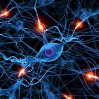 解决R包biomaRt中的报错：‘Caused by error in `db_collect()`:’ - 知乎