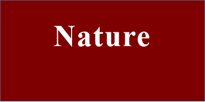 重磅《Nature》：共格界面，控制从石墨到金刚石的直接转变！ - 知乎